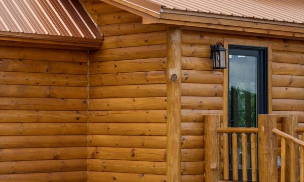 Our Logs - We Use The Highest Grade Eastern White Pine Logs